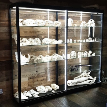 Vitrinekast Glas | Led Vitrinekasten | Vitrine - vitrinemasters.com